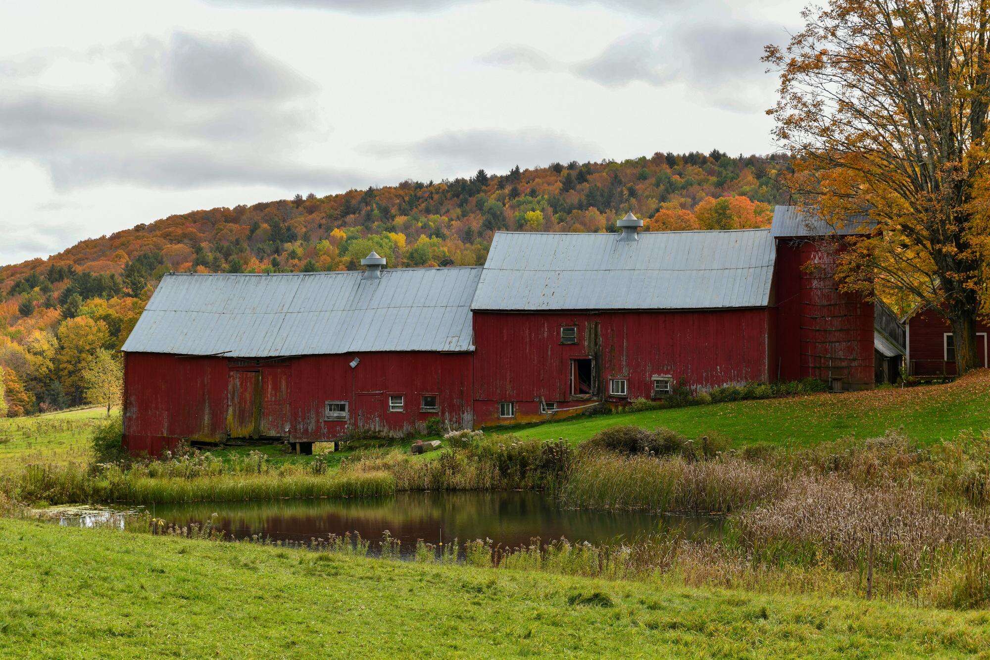 Exploring Agricultural Buildings: Definitions, Examples, and More – DIY ...